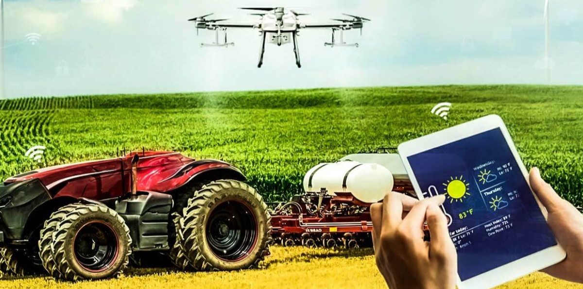 BN00DG28-3001 | Learn-Moodle